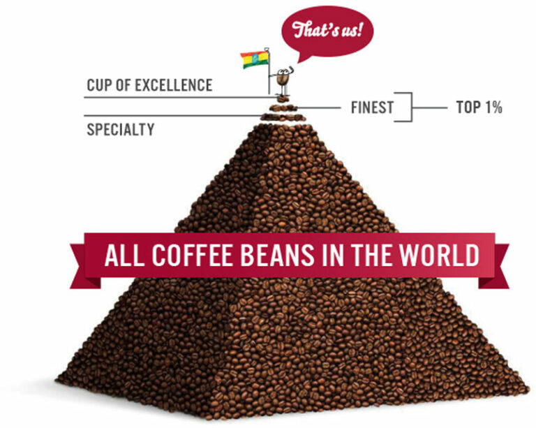 Moyee Coffee – The World's First FairChain Coffee